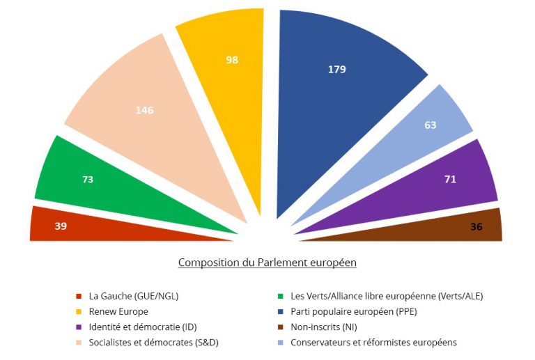The composition of the European Parliament – European elections 2024